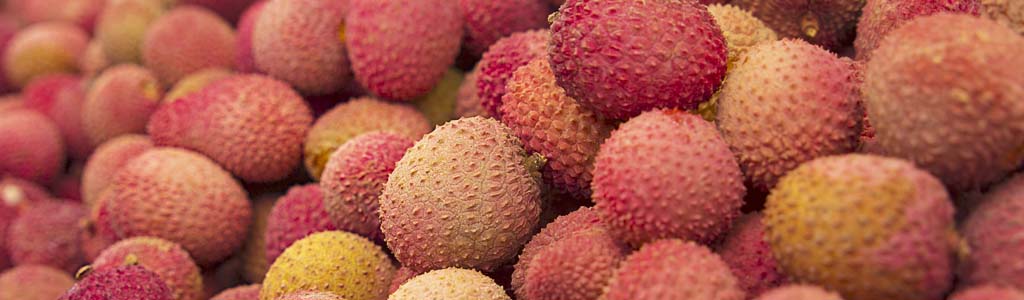 12 benefícios da lichia que você precisa conhecer