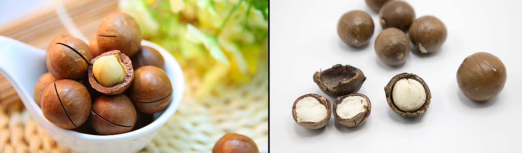 10 benefícios da macadâmia mais tabela nutricional e receita