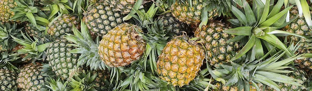 12 benefícios do abacaxi - com tabela nutricional e receita