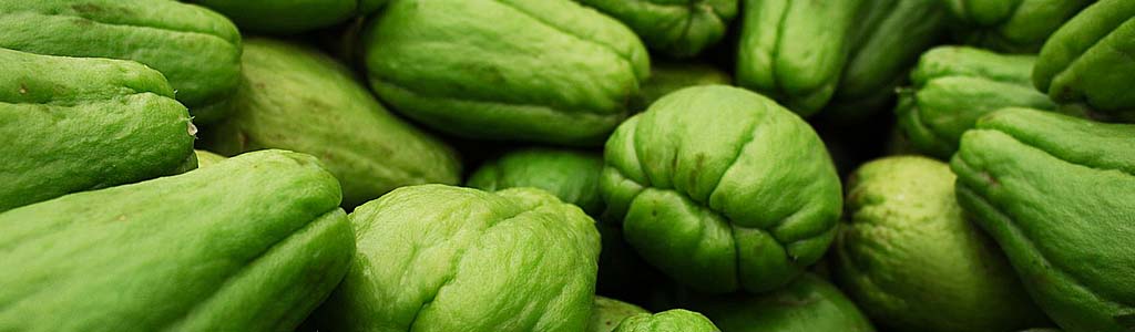 11 benefícios do chuchu - com tabela nutricional e receita