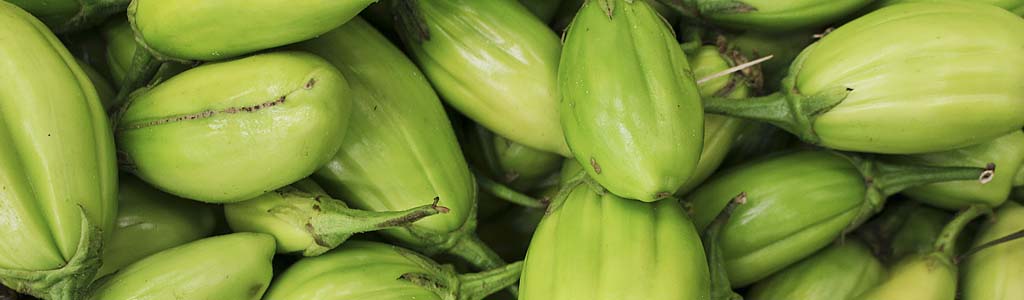 10 benefícios do jiló - mais tabela nutricional e receita