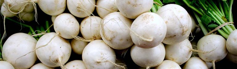 10 benefícios do nabo - com tabela nutricional e receita