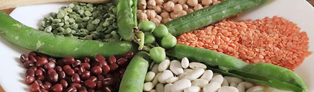 Alimentos construtores: o que são, funções e 20 exemplos