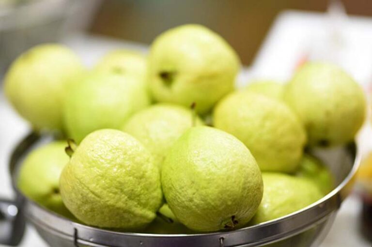 14 benefícios da goiaba mais receita e tabela nutricional