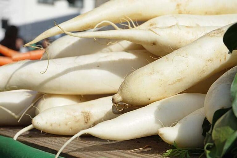 10 benefícios do nabo - com tabela nutricional e receita