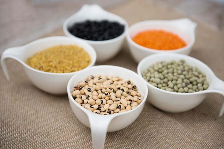 Alimentos construtores: o que são, funções e 20 exemplos