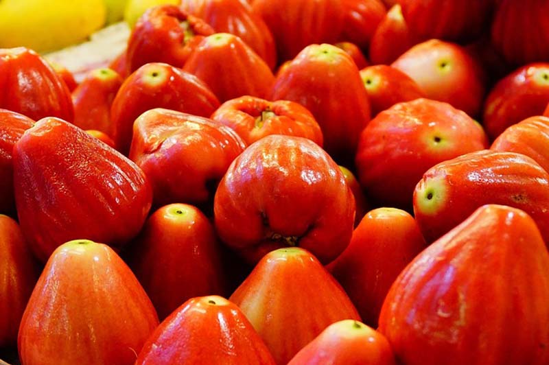 11 benefícios do jambo para a saúde e valor nutricional